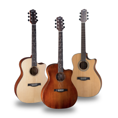 Stanford Guitars